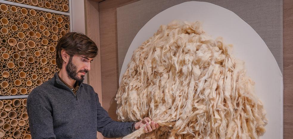 Pablo Mas CEO, y fundador de Yucs: «La lana merina es todavía mejor en ...