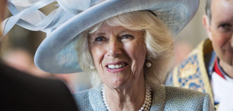 odiaba a Diana de Gales: Fiona Shelburne, el apoyo de Camilla contra ...